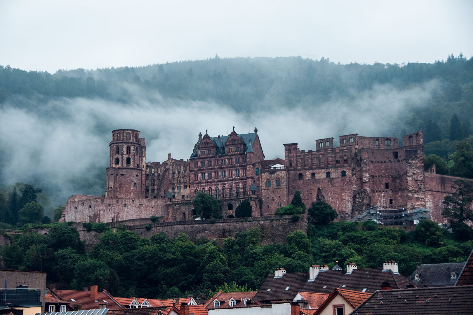 Fun Facts About Heidelberg | MEININGER Hotels