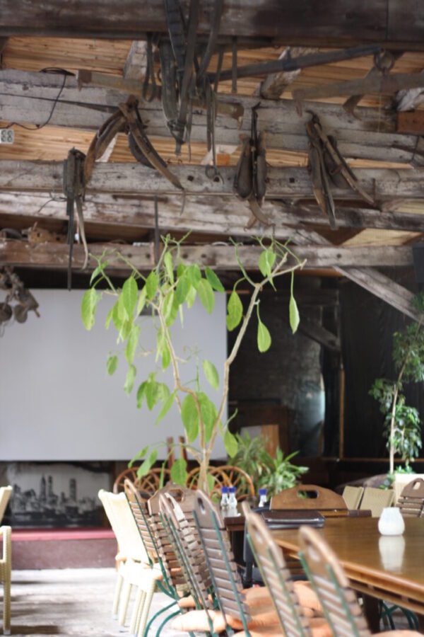 Secret Berlin - Discover Rixdorf, Neukölln | MEININGER Hotels