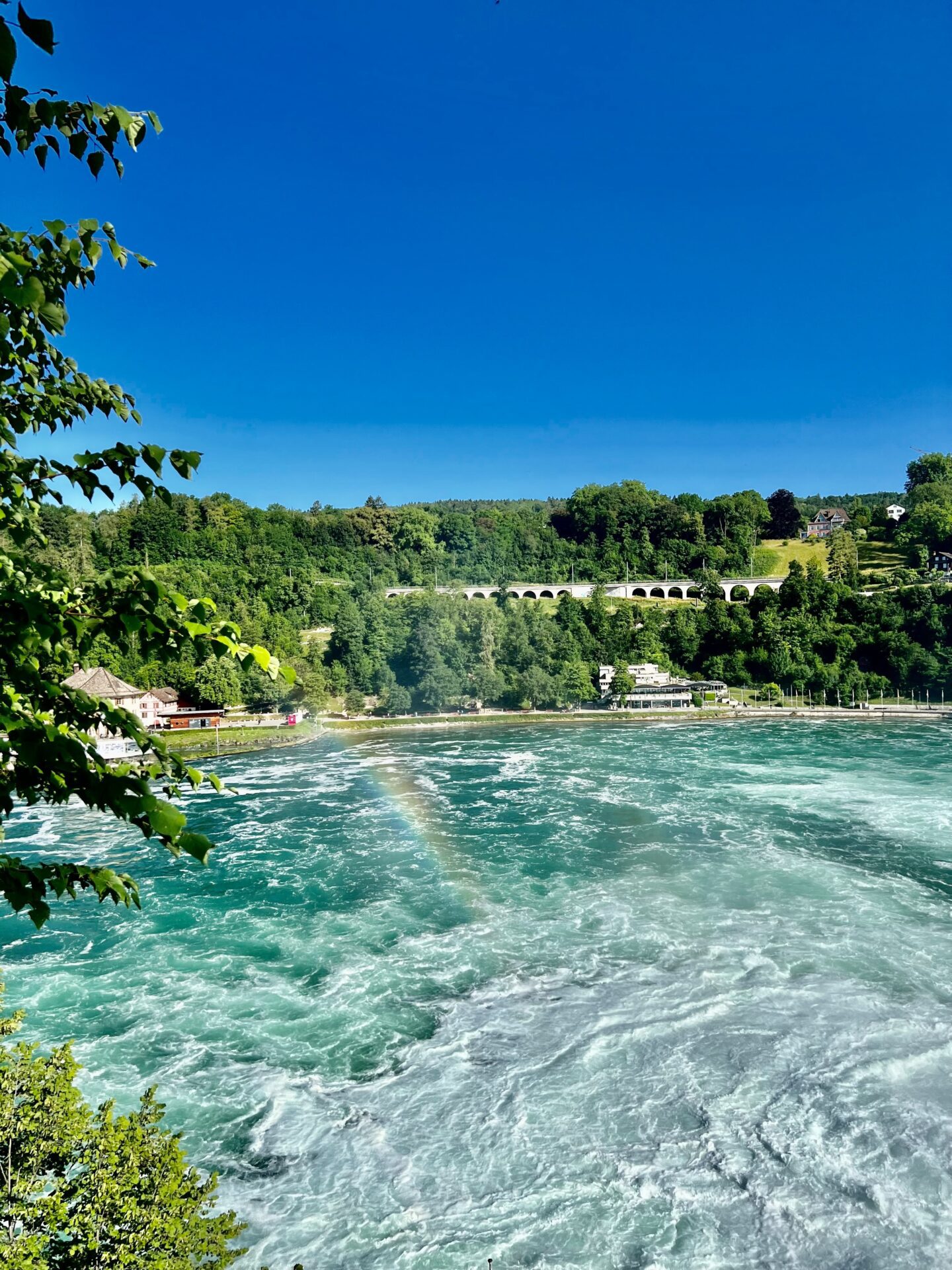 Zurich in the Summer | Best Summer Festivals | MEININGER