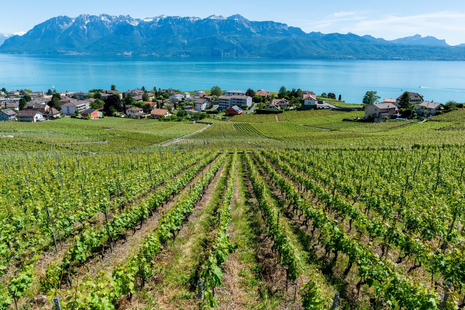 Top things to do in Geneva this summer | MEININGER Hotels