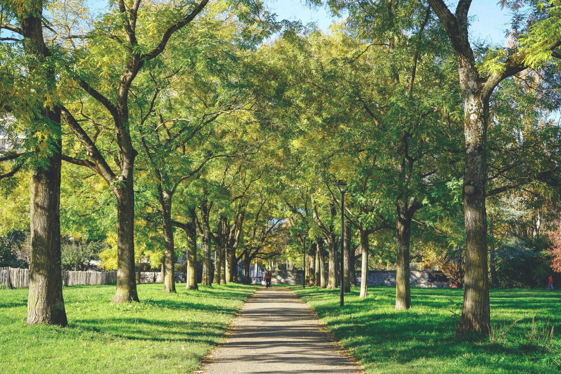 TOP THINGS to do in Geneva this summer | MEININGER Hotels