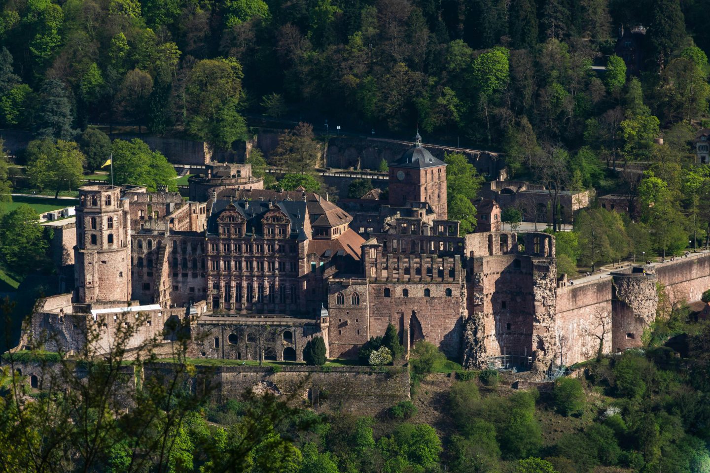 Hiking in Heidelberg | MEININGER Hotels