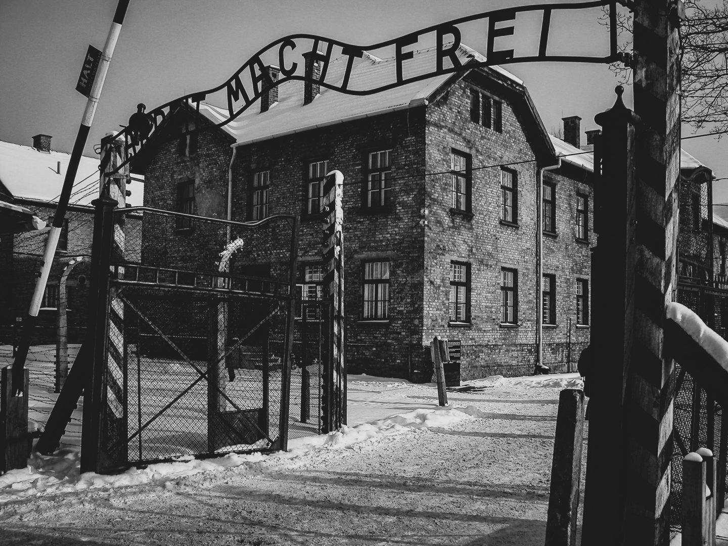 Day trip to Auschwitz | MEININGER Hotels